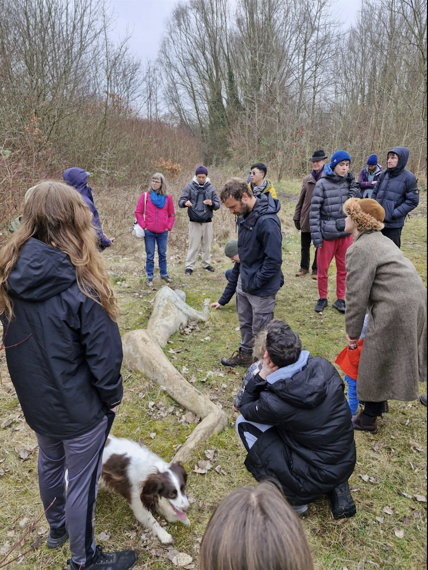 Moss Walk – FOMV